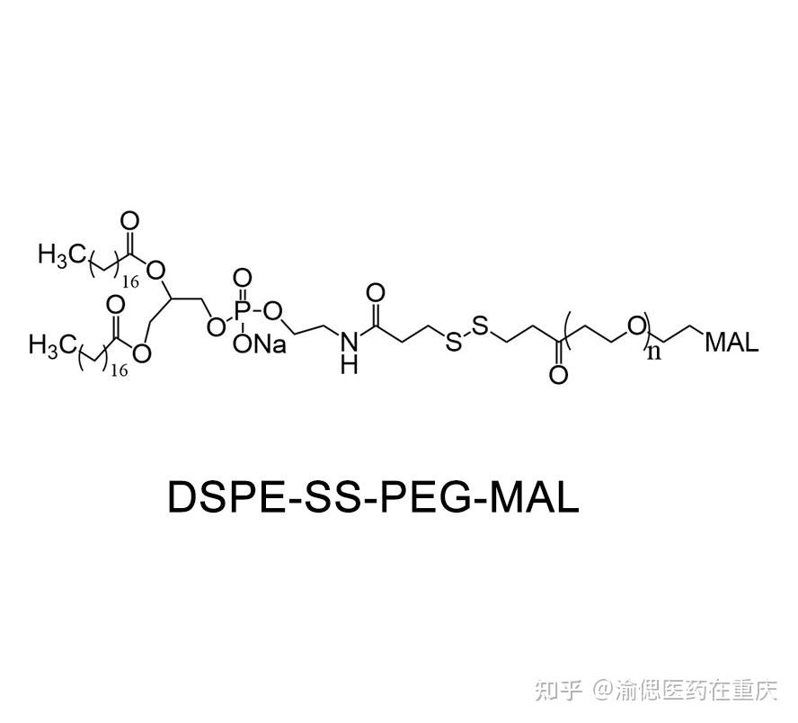磷脂PEG衍生物DSPE-SS-PEG-MAL脂质体载体材料介绍;二硬脂酰基磷脂酰乙醇胺-双硫键-聚乙二醇-马来酰亚胺 - 知乎