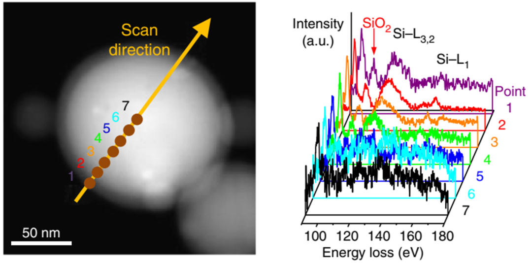 【今晚开讲】TEM图片加标尺、上色美化、衬度调整、SAED衍射标定、晶面量取、EELS分析、高分辨图像信息挖掘！ - 知乎
