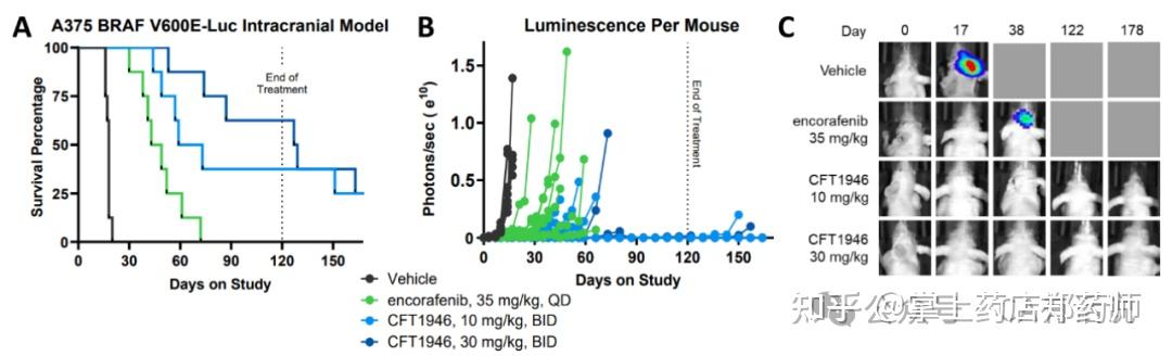 靶向SMARCA2 FIC 降解剂CFT1946首次公布 I 期临床结果：BRAF V600X实体瘤新疗法持续研究中 - 知乎