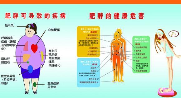 【知因瘦】肥胖能引发哪些并发症？ 知乎