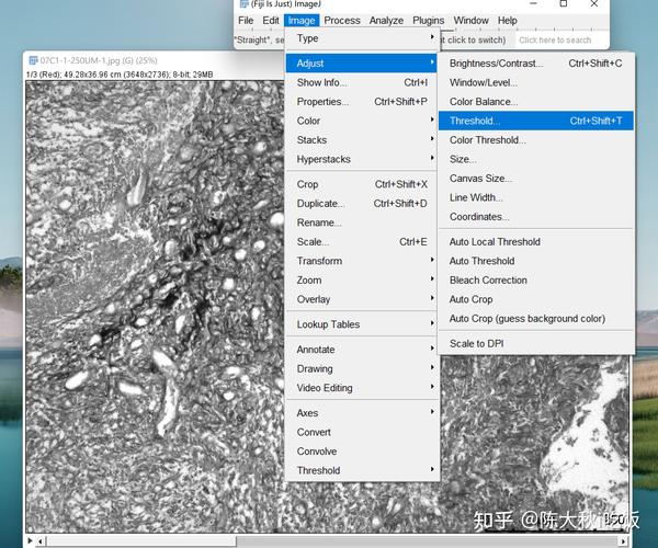 如何使用image j 分析Masson染色中的胶原蛋白含量 - 知乎