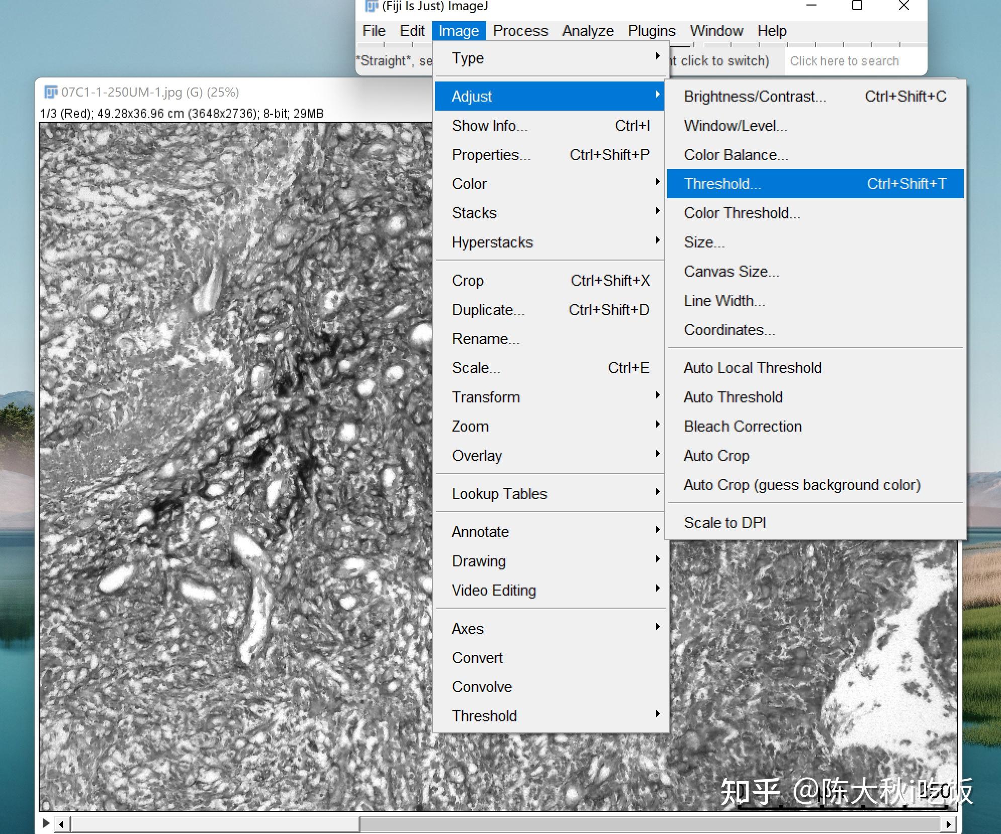 如何使用image j 分析Masson染色中的胶原蛋白含量 - 知乎