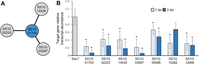 每日科研进展 l 2023.04.26 l 通过植物介导的 RNA 干扰控制核盘菌 - 知乎