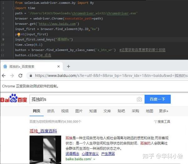 Python Selenium 