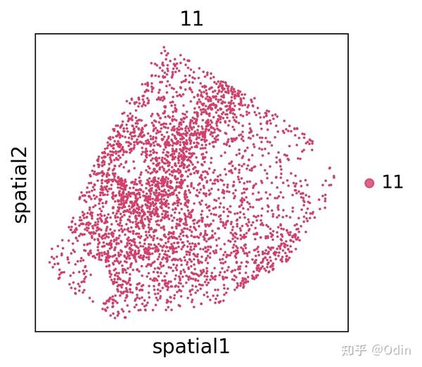 教程：用scanpy和squidpy分析单细胞空间转录组数据 - 知乎