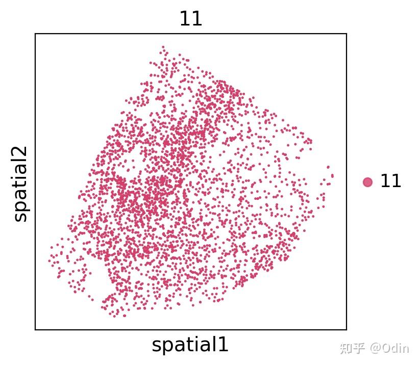 教程：用scanpy和squidpy分析单细胞空间转录组数据 - 知乎