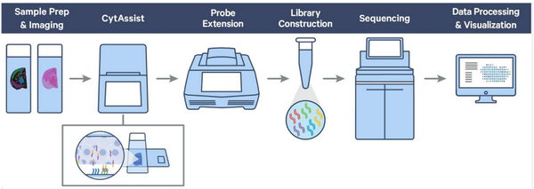 新品来袭丨博奥晶典引进10x Visium CytAssist空间组学组织分析物转移系统 - 知乎