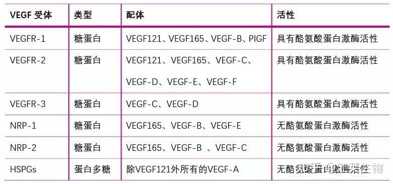 隐藏王者-血管内皮生长因子VEGF家族 - 知乎