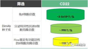 肿瘤免疫靶点 | CD22 - 知乎