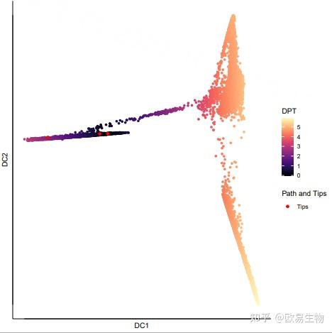 单细胞拟时序分析又一利器—Diffusion Map - 知乎