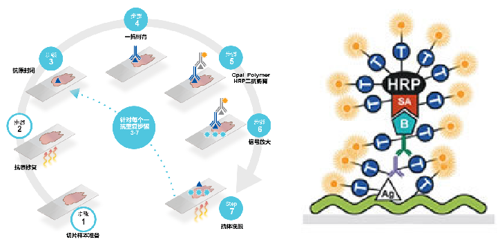强强联合 | TMA&TSA助力生物医药产业创新发展 - 知乎