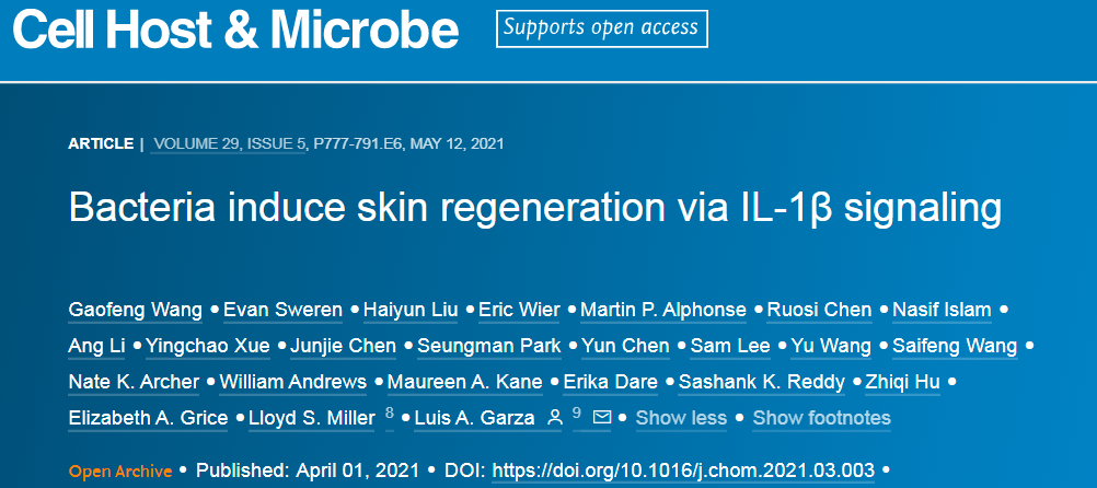秃发治疗新手段！发现皮肤微生物促进毛囊再生机制，动物验证成功并计划两年内推进临床｜专访南方医科大学王高峰 - 知乎