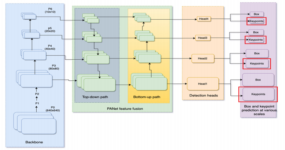 YOLO-Pose: 基于yolo5的Person Pose Estimation - 知乎
