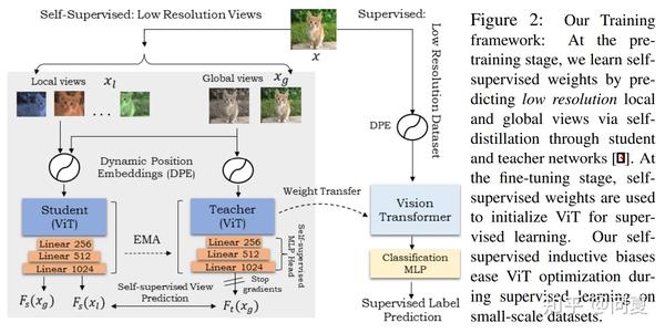 BMVC2022-如何在小数据集上训练ViT？ - 知乎
