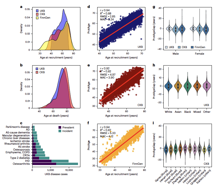 UKB/CKB/Finngen三国队列使用Olink平台探索蛋白组学年龄时钟 - 知乎