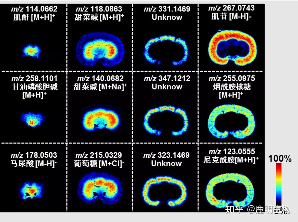 产能升级｜鹿明生物新购QE-HF助力2022空间代谢组学 - 知乎