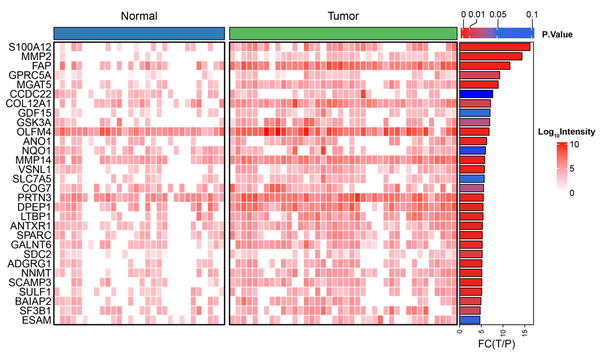 跟着 Cell 学作图 | 复杂热图(ComplexHeatmap) - 知乎