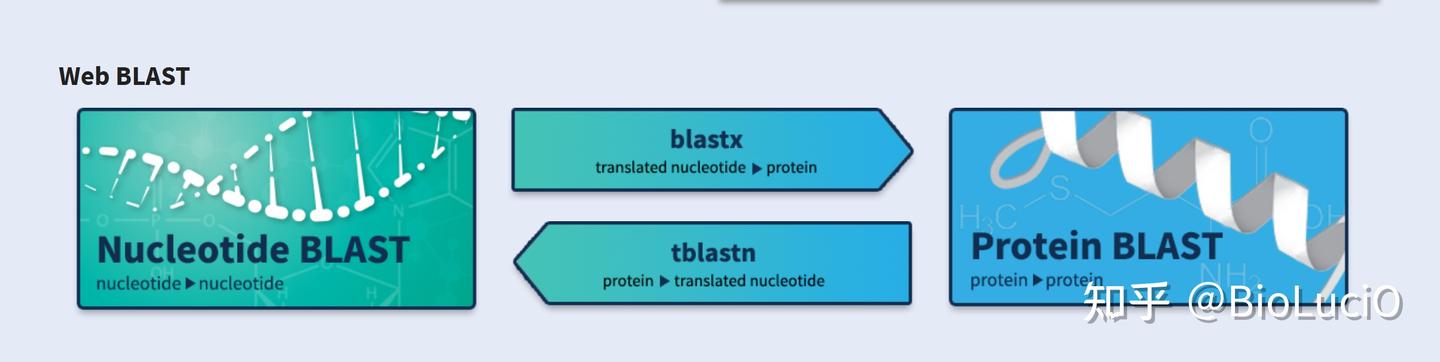 核酸/蛋白blast比对 - 知乎