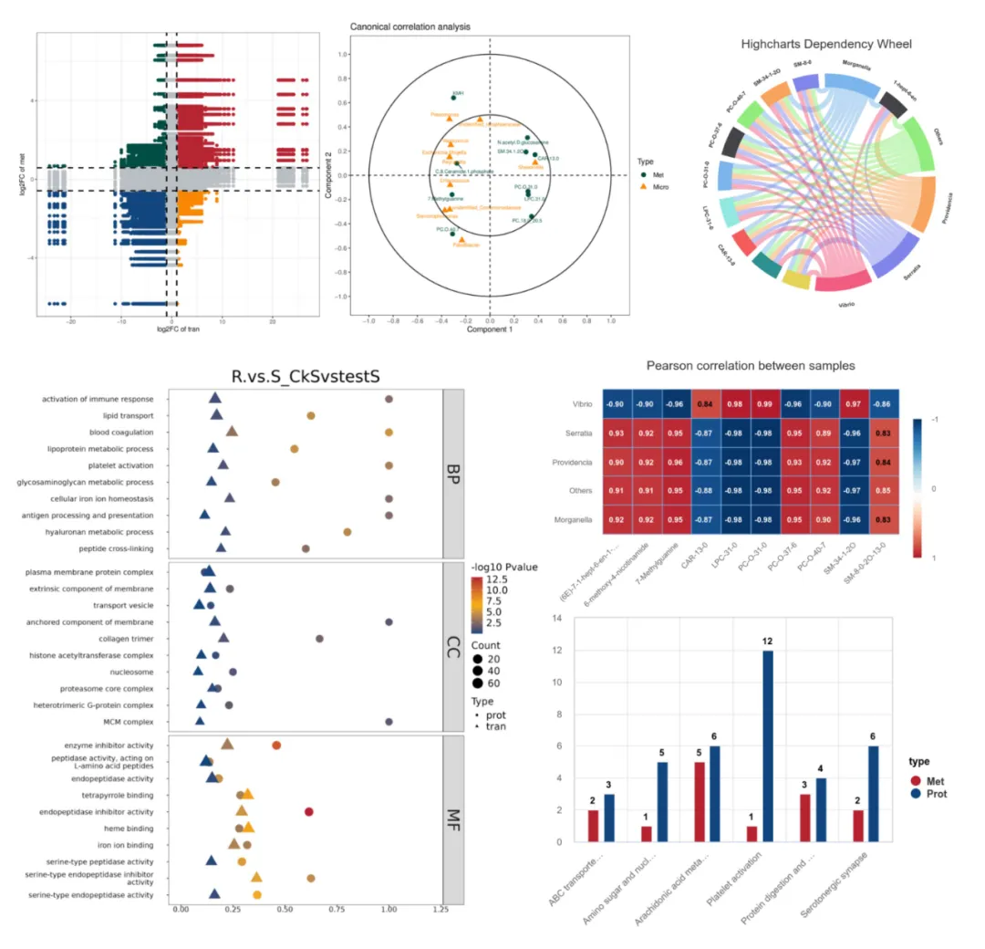 NovoMagic Plus震撼登场！四款热门关联分析强势上线 - 知乎