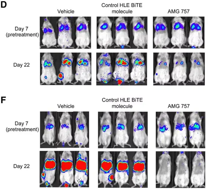 降低CD3亲和力—CD3双抗在治疗实体瘤的应用 - 知乎