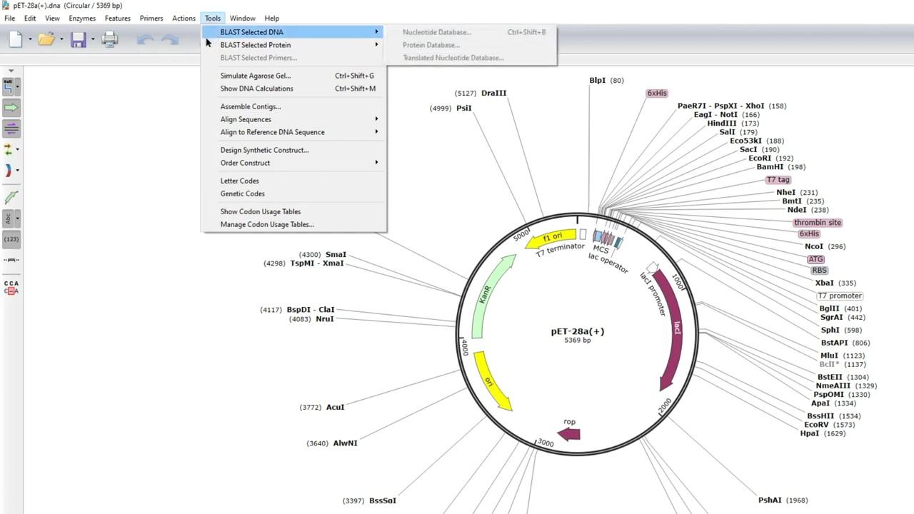SnapGene 初学者指南 | SnapGene 软件概览 - 知乎