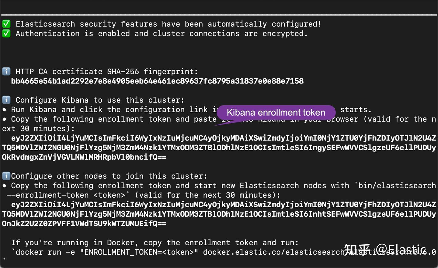 如何在 Docker 上运行 Elasticsearch 8.x 进行本地开发 - 知乎