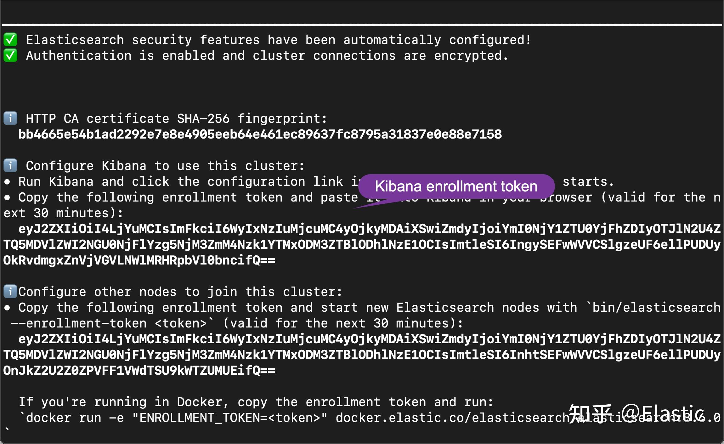 如何在 Docker 上运行 Elasticsearch 8.x 进行本地开发 - 知乎