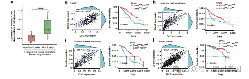 Nat Immu | 脓毒症训练的巨噬细胞促进抗肿瘤组织驻留T细胞 - 知乎