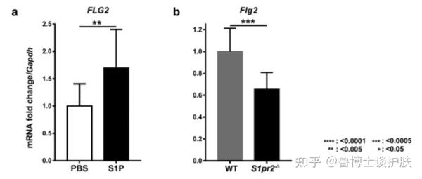 S1PR2是维持皮肤屏障稳态的关键蛋白 - 知乎