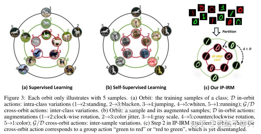【论文笔记】Self-Supervised Learning Disentangled Group Representation as Feature - 知乎