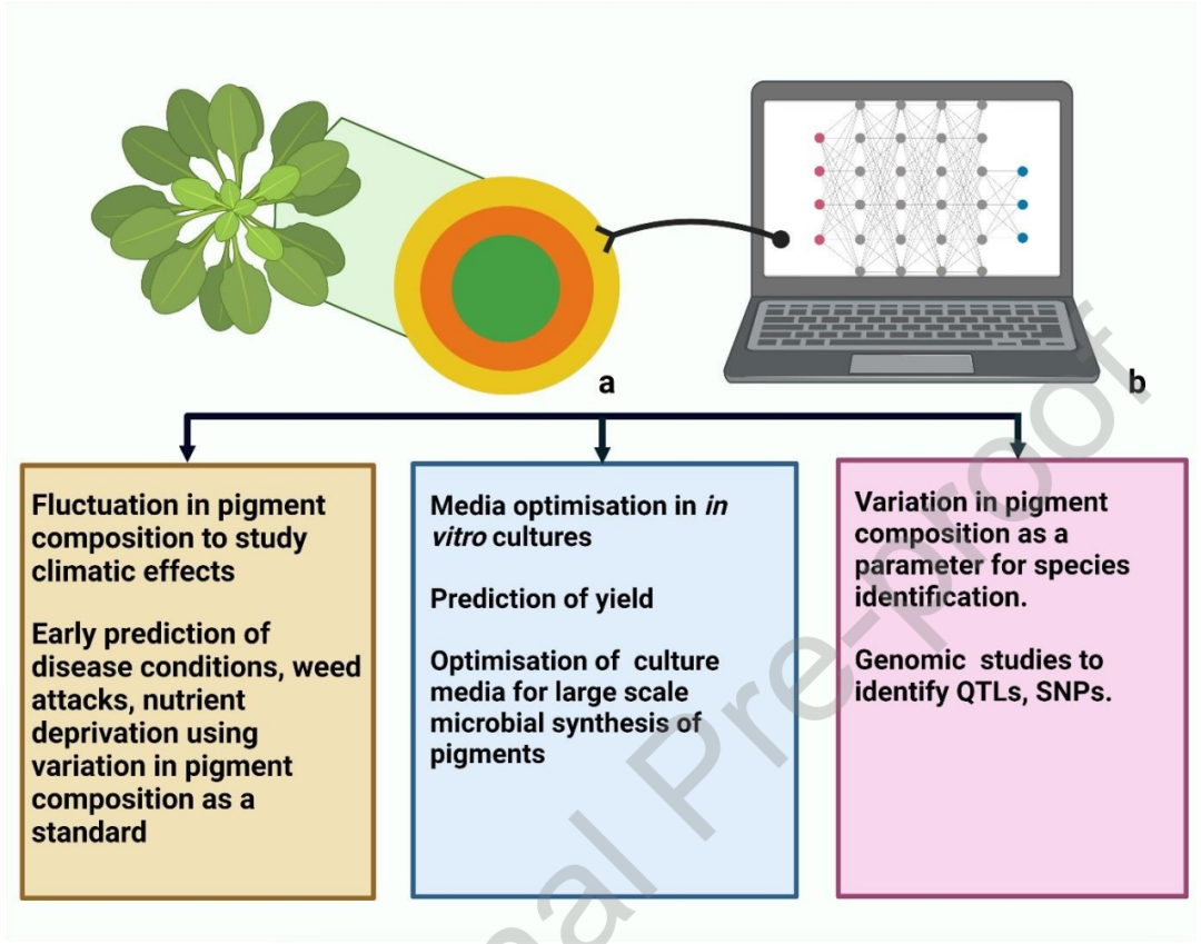 光合作用中的机器学习：作物可持续发展的前景 - 知乎