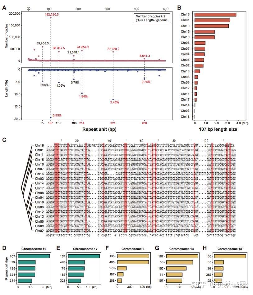 文献解读 | 园艺顶刊HR发表首个葡萄T2T参考基因组 - 知乎