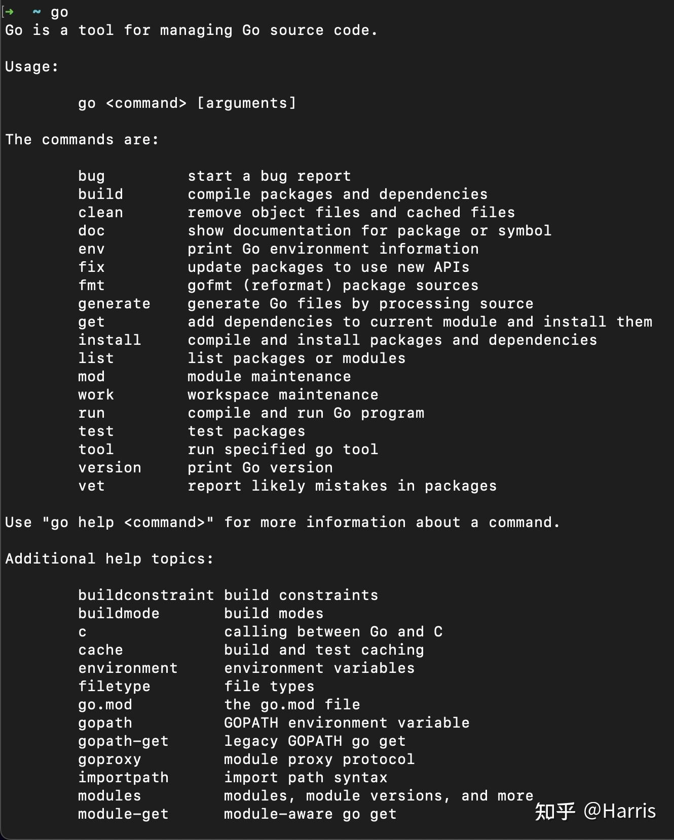 Go - Hello world - 知乎