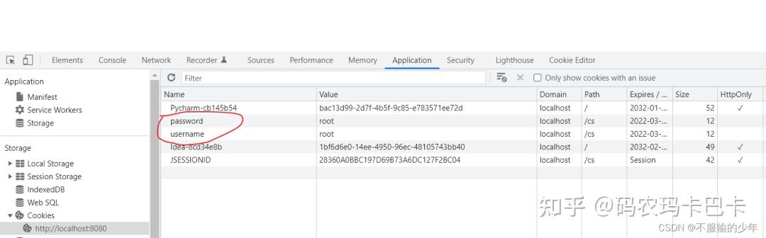 一篇文章彻底搞懂 Cookie ! - 知乎