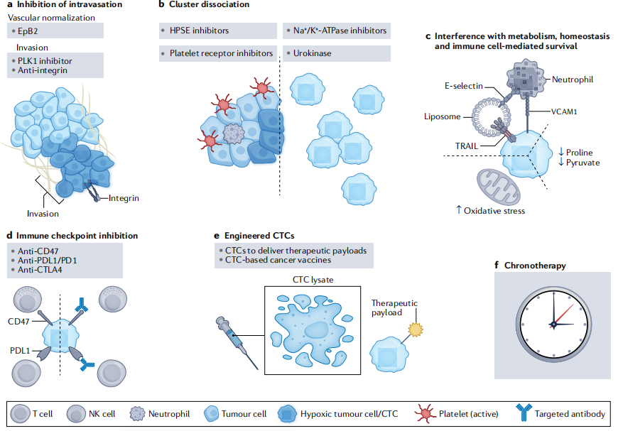 重磅文章丨Nature Reviews：循环肿瘤细胞CTC领域概述 - 知乎