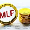 MLF是什么？ - 知乎
