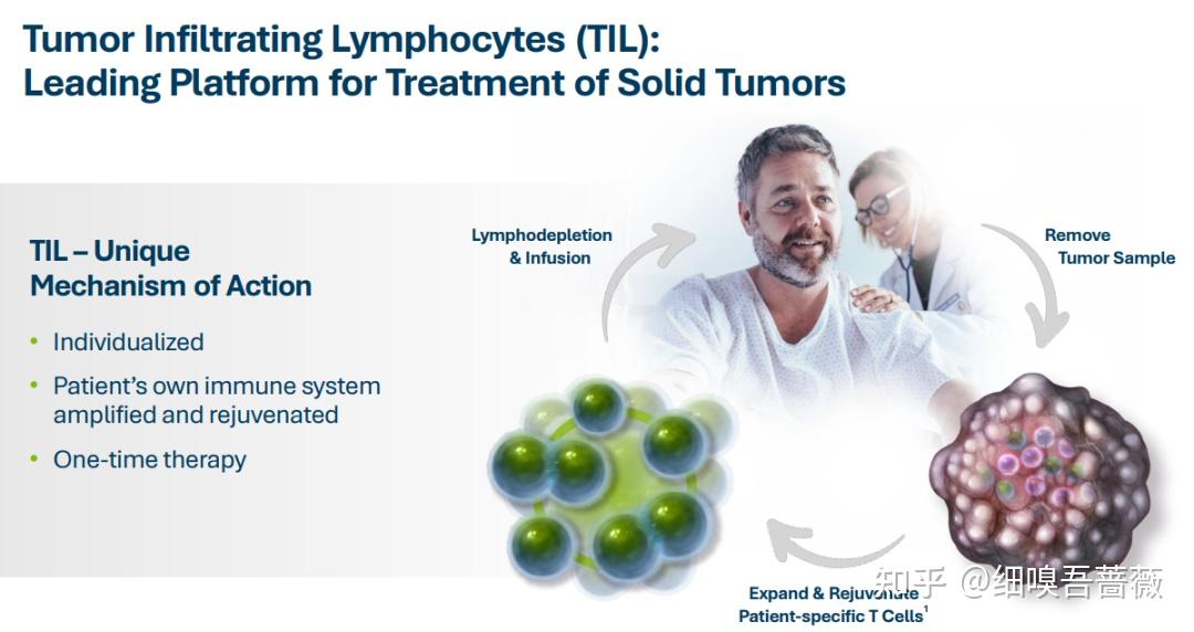 全球首款TIL细胞疗法获FDA批准上市 - 知乎