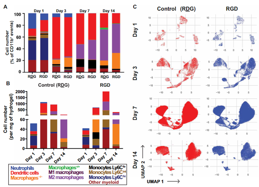 《Science Advances》分析对工程RGD肽/聚乙二醇水凝胶的免疫反应！ - 知乎