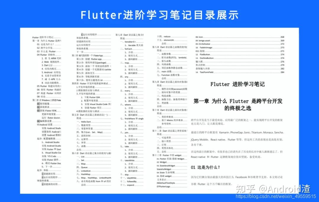 Flutter开发之dart语言从入门到精通（从入坑到入土）