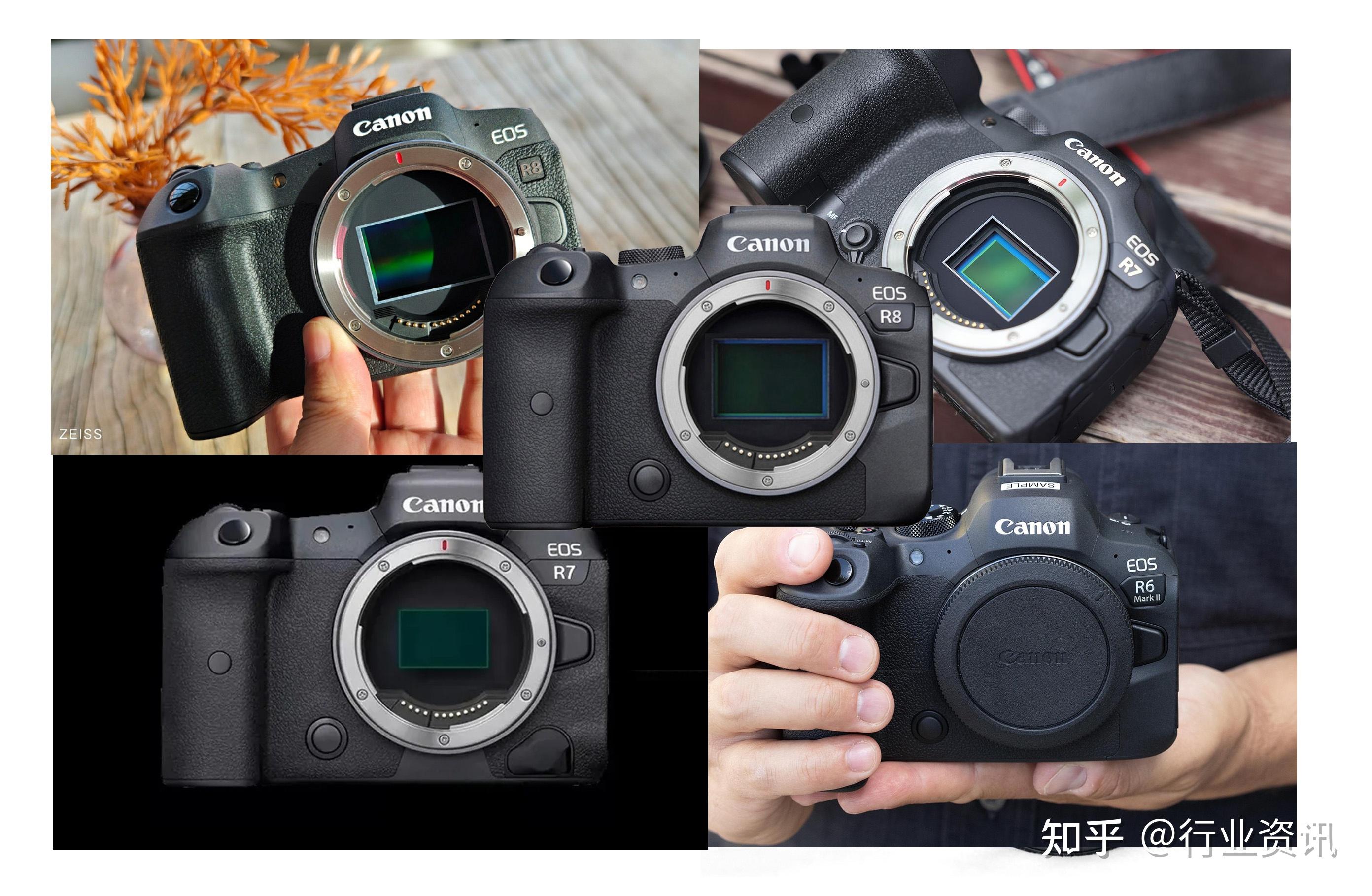 佳能上市时间较新的三款微单：R6 II、R8和R50各有什么优缺点？ - 知乎