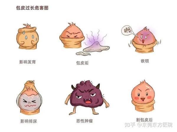 包皮长?多长算长?需要切吗? 知乎
