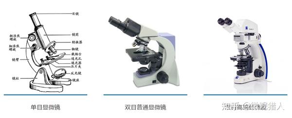 显微基础丨①显微镜是什么？ - 知乎