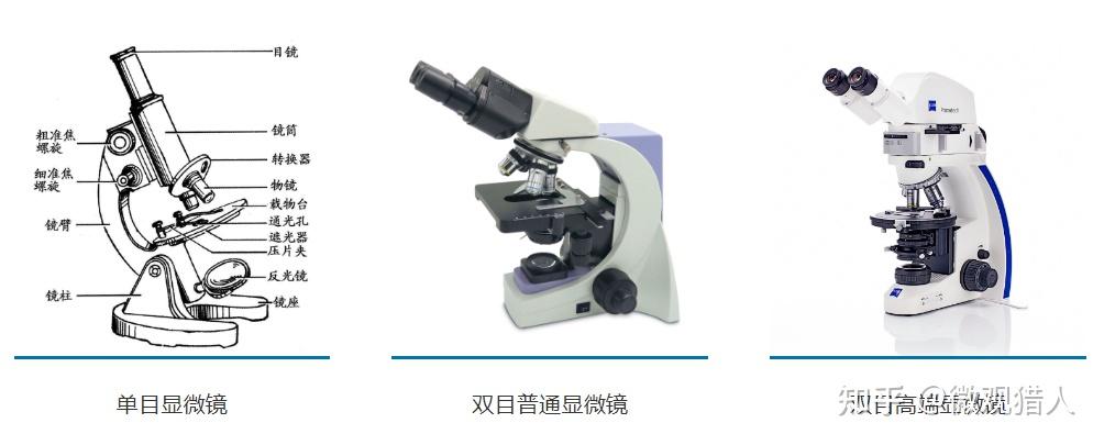 显微基础丨①显微镜是什么？ - 知乎