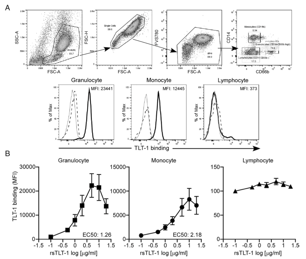 免疫学杂志丨可溶性 TREM 样转录物 1 通过 TLR4/MD2 通路作为损伤相关分子模式在脓毒症期间导致免疫失调 - 知乎