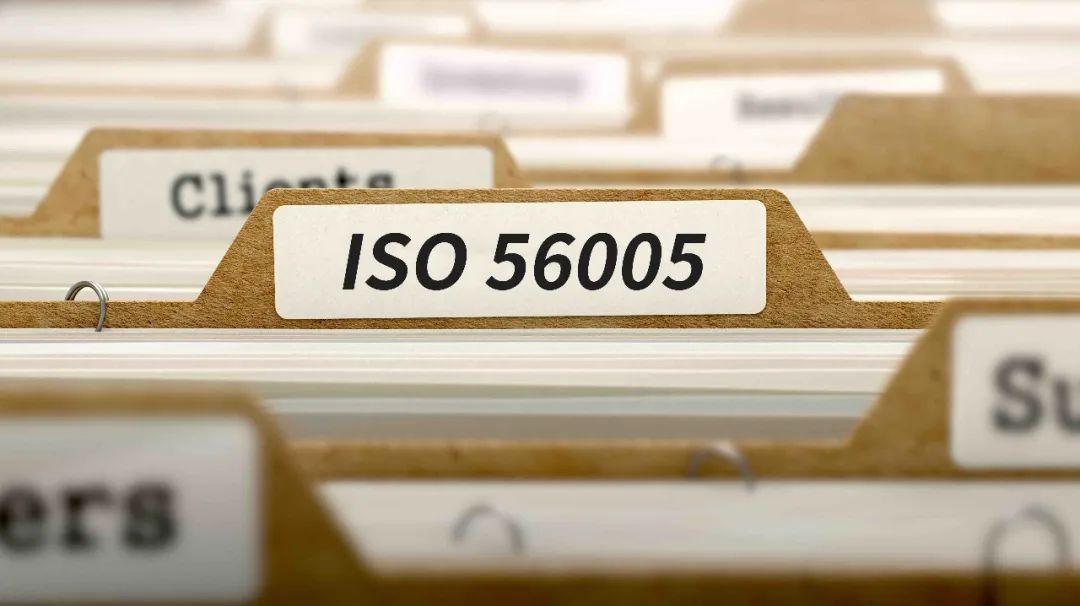 ISO56005国际标准要点解读 - 知乎