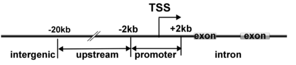 5fC DNA甲酰基胞嘧啶测序 - 知乎