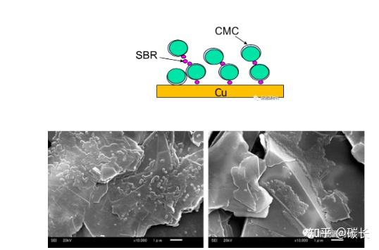 一文读懂锂电粘结剂现状及技术发展（持续更新） - 知乎