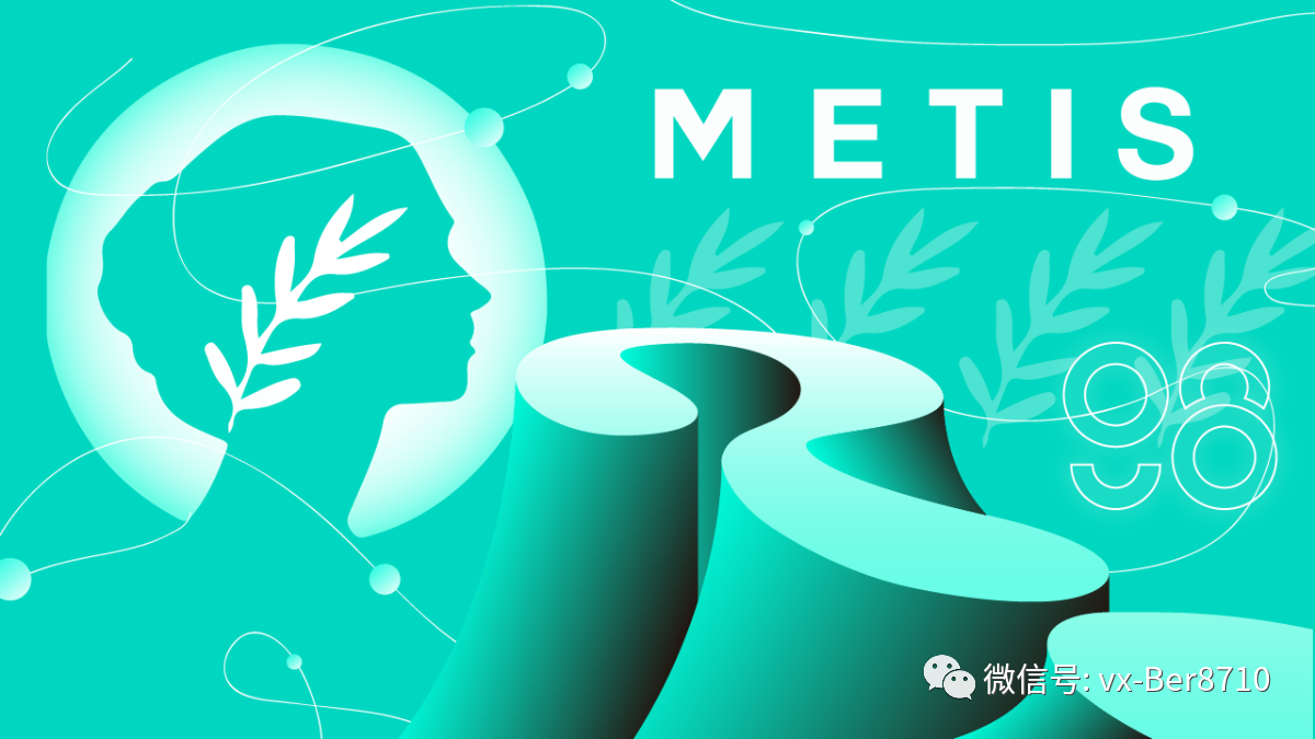 什么是Metis？关于Metis你需要知道的一切 - 知乎