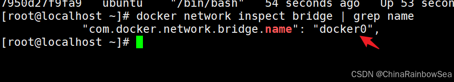 12. Docker 网络(bridge，host，none，container，自定义网络)配置操作详解 - 知乎