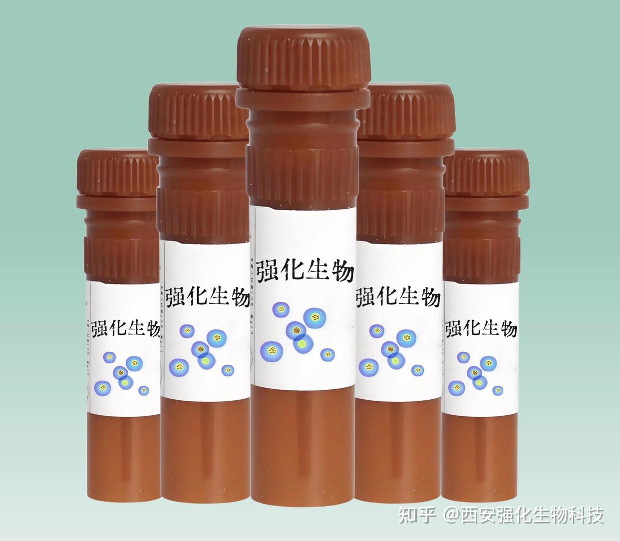 Calcein Red，AM，染色的具体步骤 - 知乎